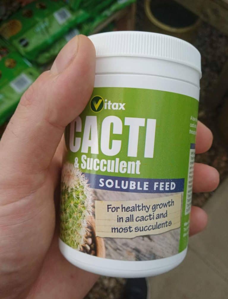 Complete Guide to Snake Plant Care: Growing Snake Plants Indoors ...